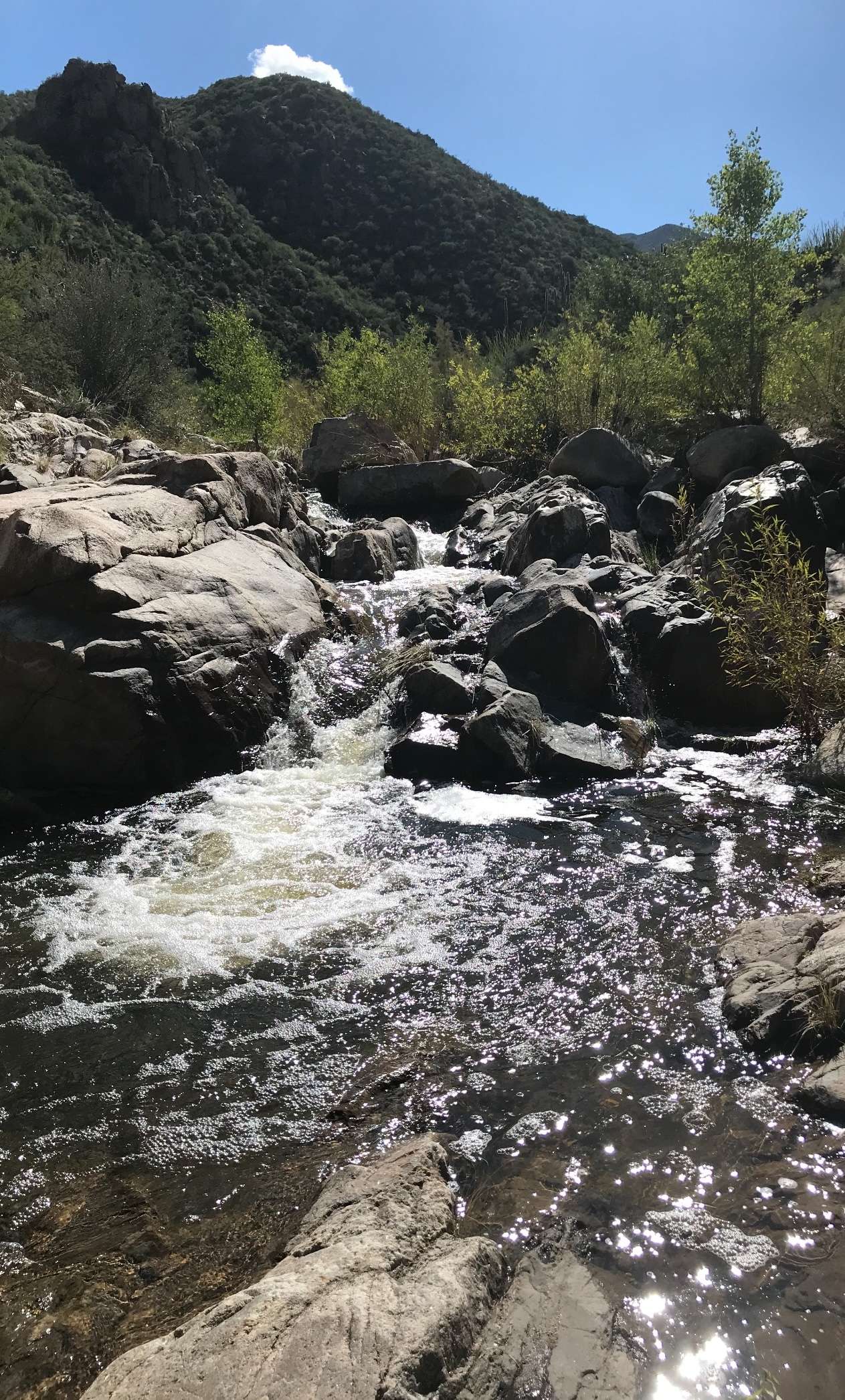 IMRO Group Of Claims - Mine Data - Gold Mining Claims Arizona